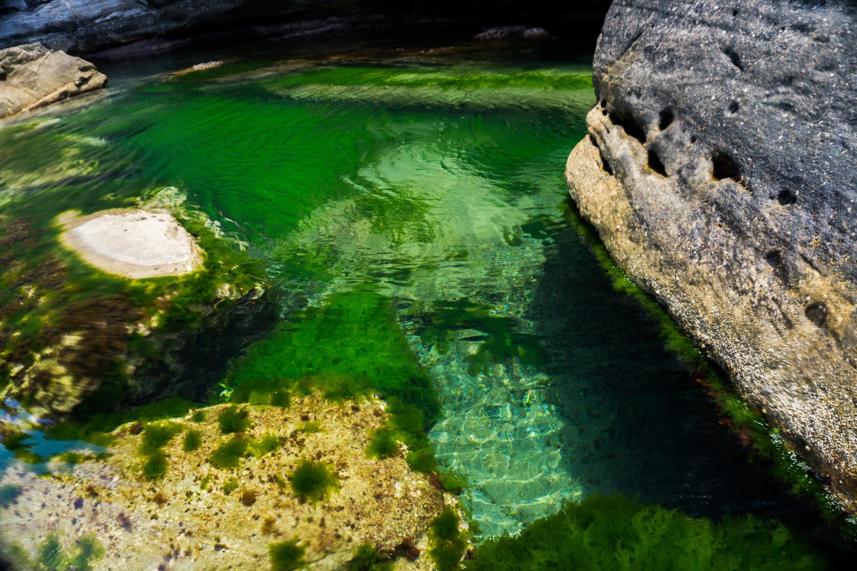 Blue fish point waterhole